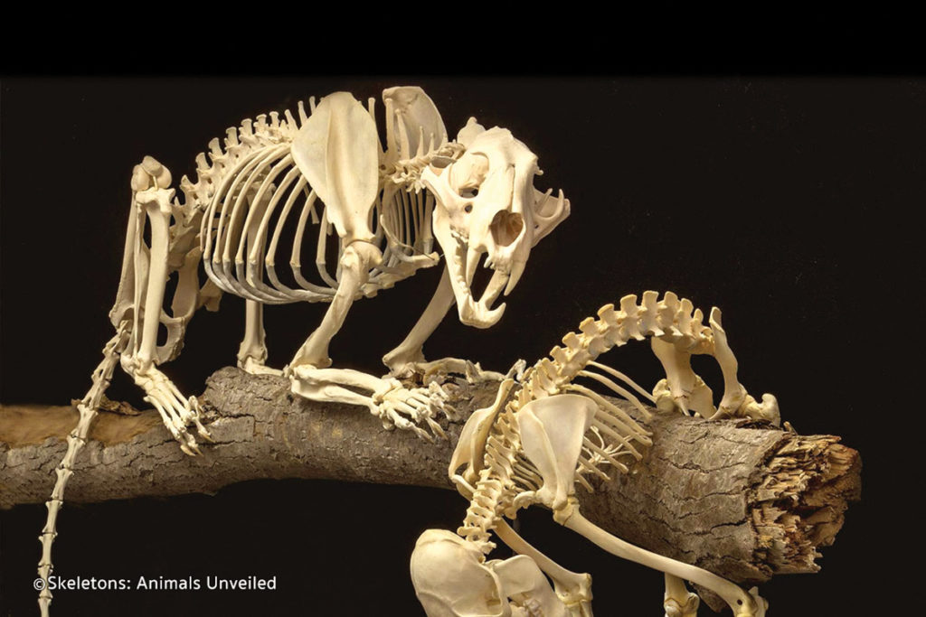 4 Ways to Beat the Heat in Orlando