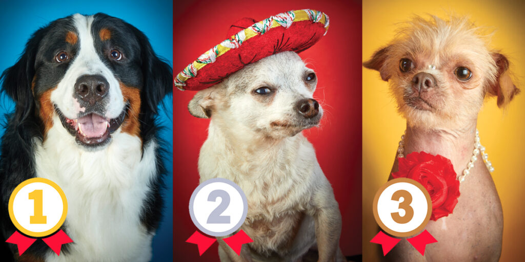 Meet the 2019 Cutest Pet Contest Winners
