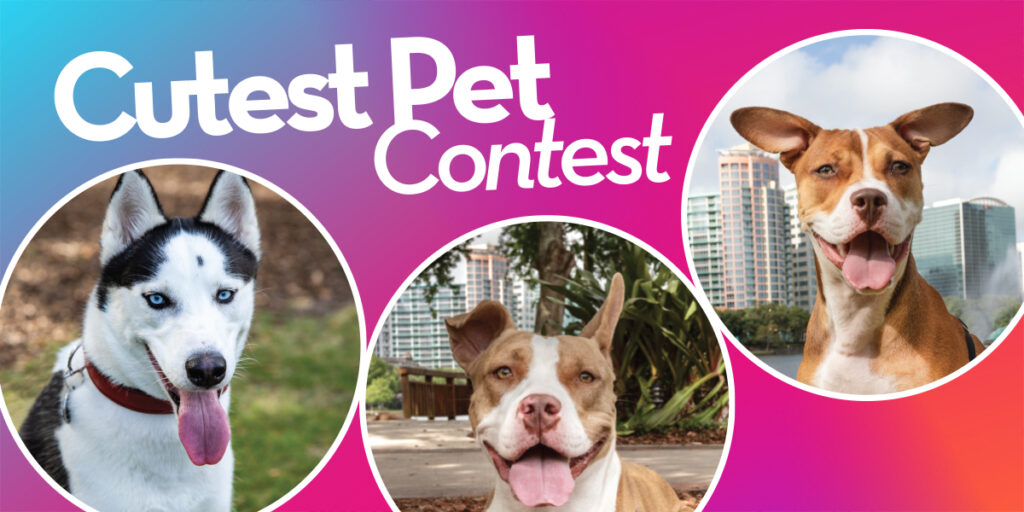 11th Annual Cutest Pet Contest Winners Revealed!
