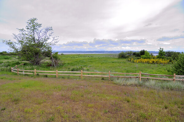 How to Claim Unclaimed Family Property in Florida